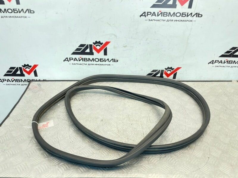 Уплотнитель проема двери Nissan Almera Classic 2011 7692295F0A B10 QG16DE, передний левый (с пробегом)