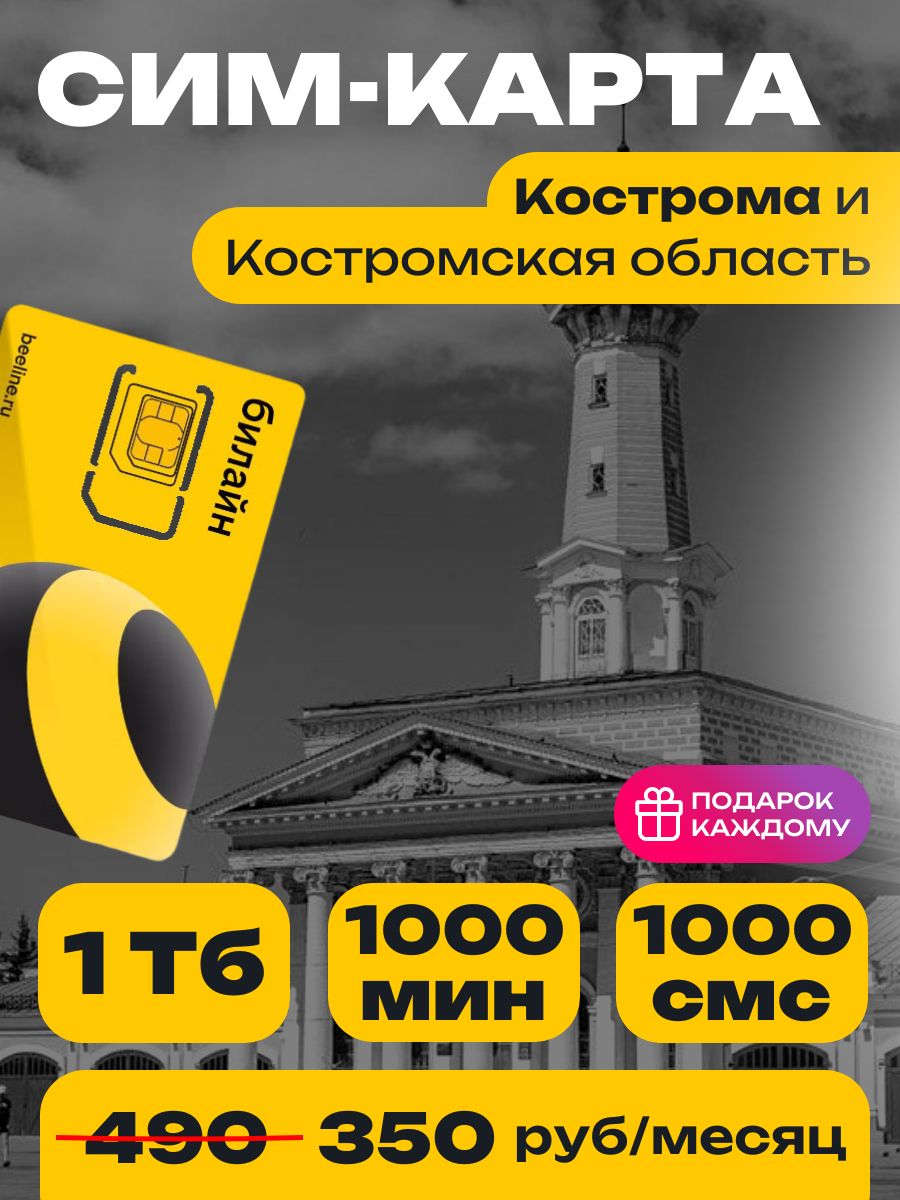Сим-карта Билайн тариф Выгодный Костромская область 1000 Гб и 1000 минут за 350 руб.