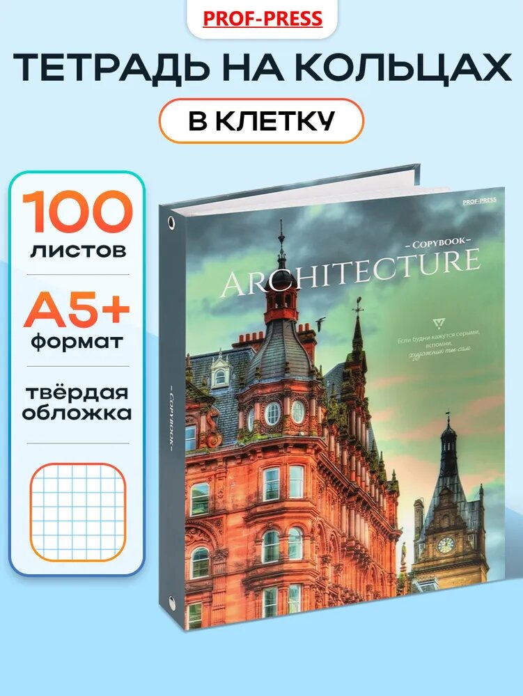 Тетрадь 100 листов в клетку Prof-Press