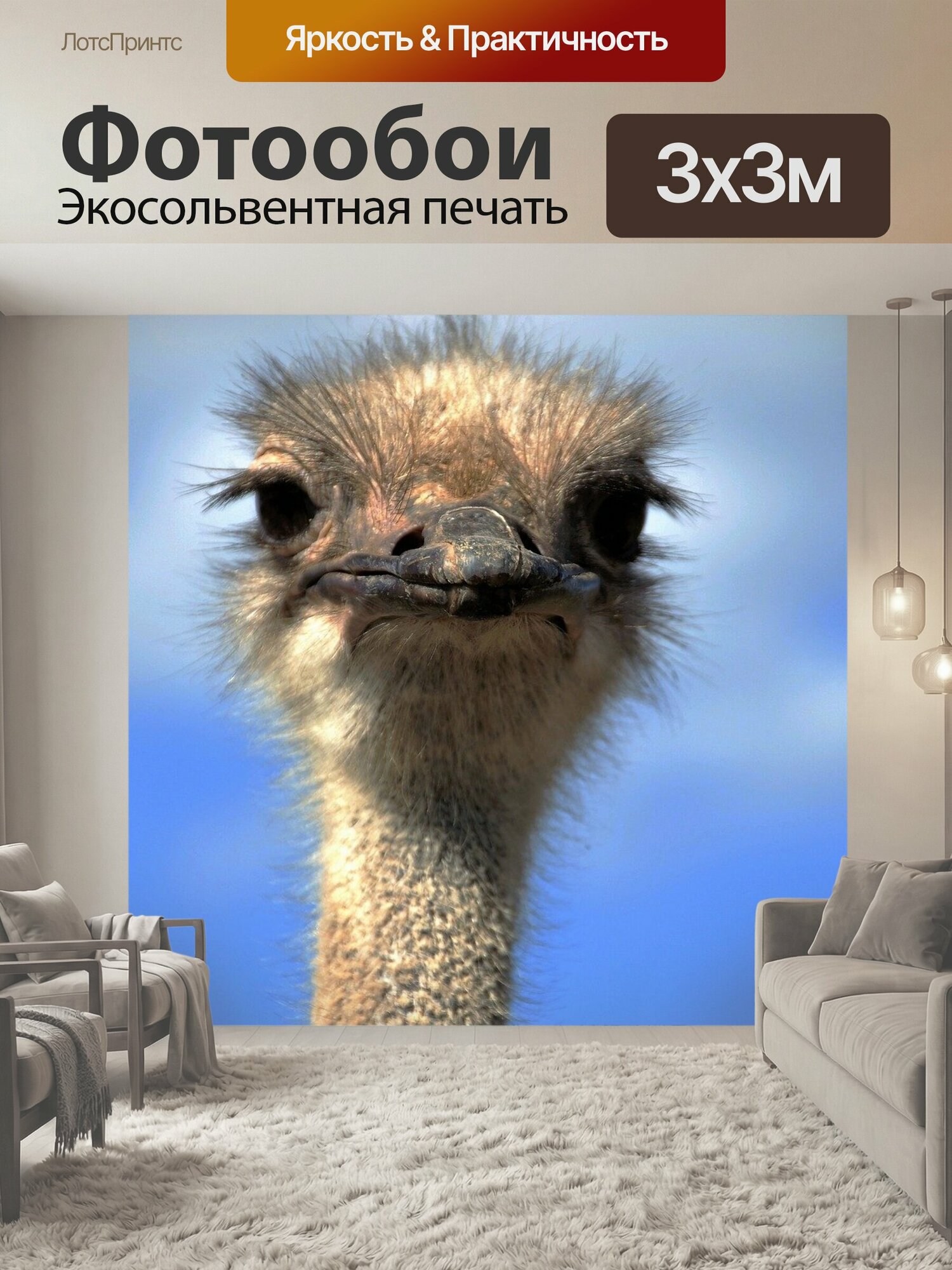 Фотообои "Страус, страусиная голова, клюв" 300x300 см. экосольвентная печать
