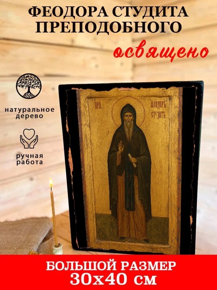 Икона Феодора Студита, на дереве, 30×40 см, освящённая, ручная работа