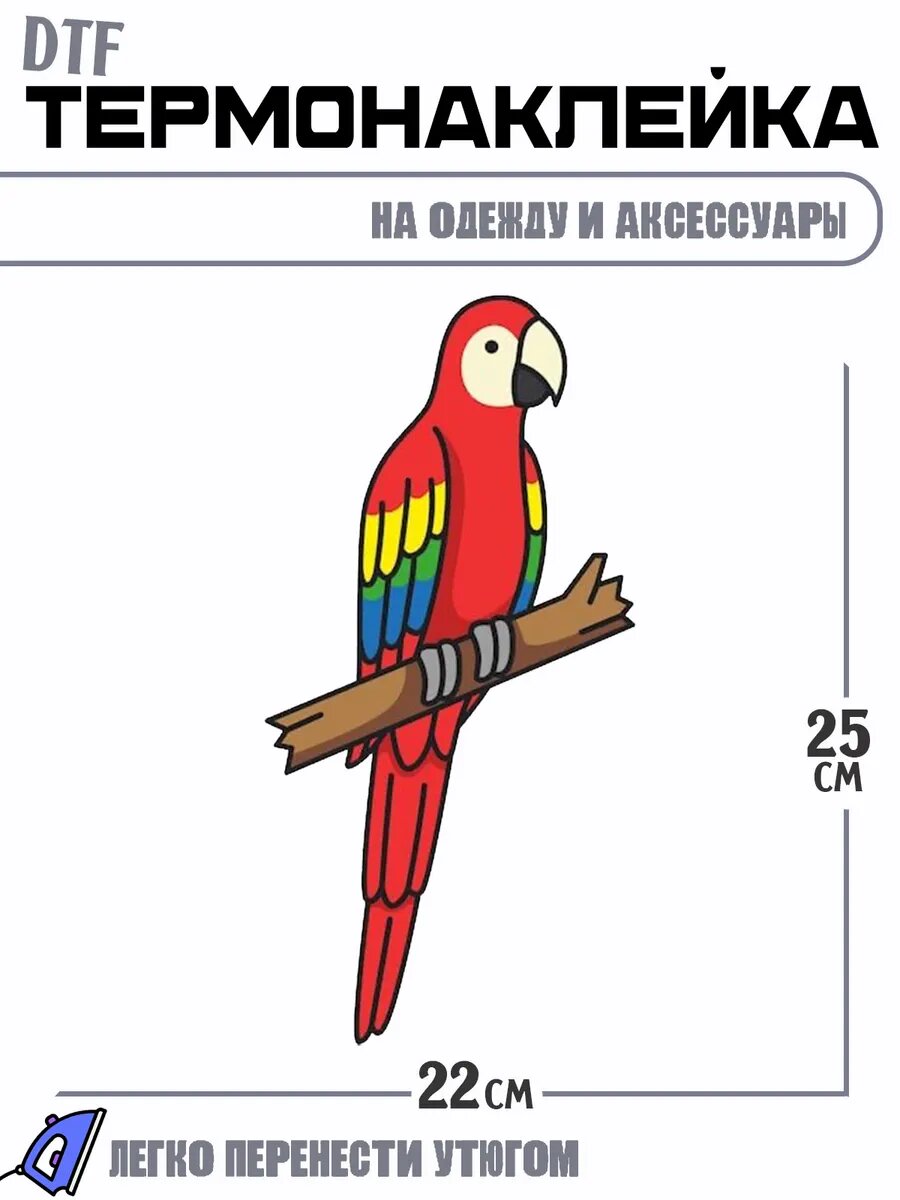 Термонаклейка Попугай Ара