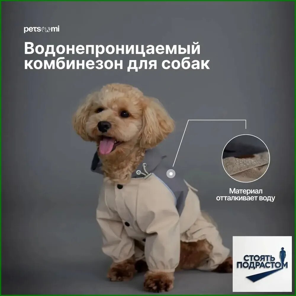 Дождевик для собак / водоотталкивающий комбинезон для собак малых и средних пород