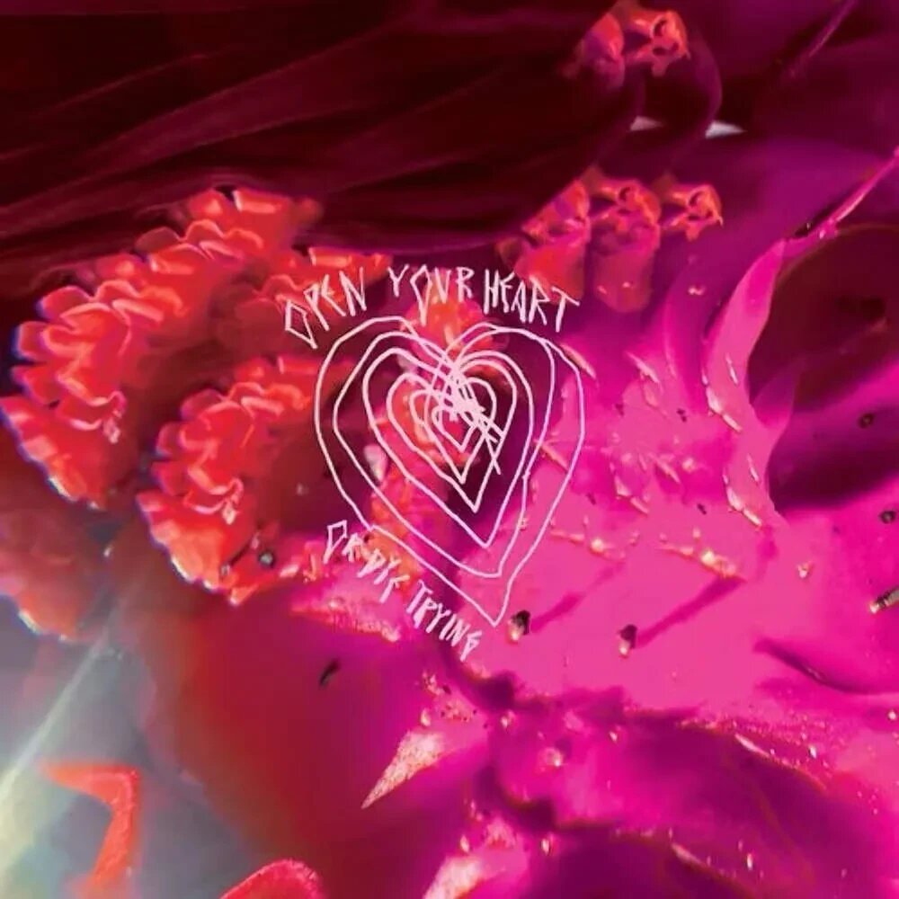Виниловая пластинка Arcade Fire – Open Your Heart Or Die Trying (Релиз 2026)