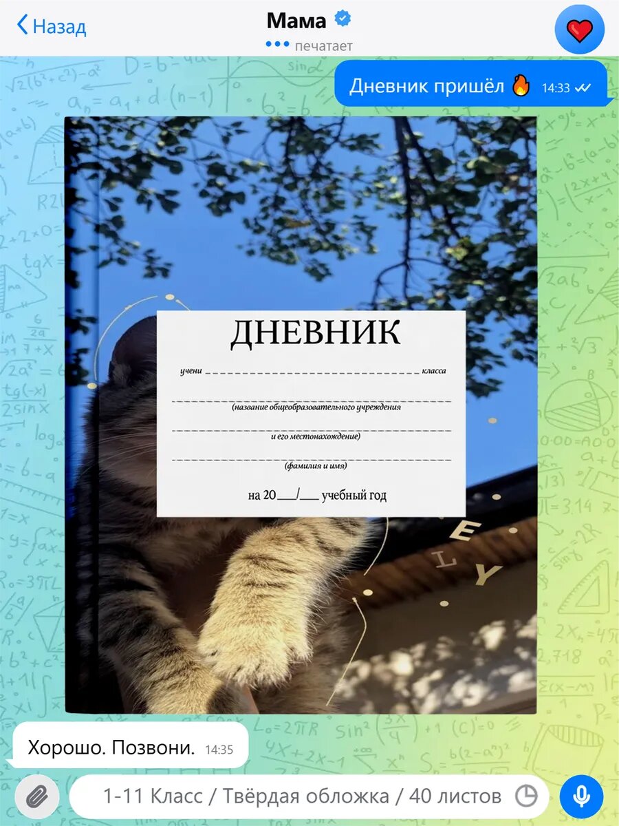 Школьный дневник с принтом y2k pinterest