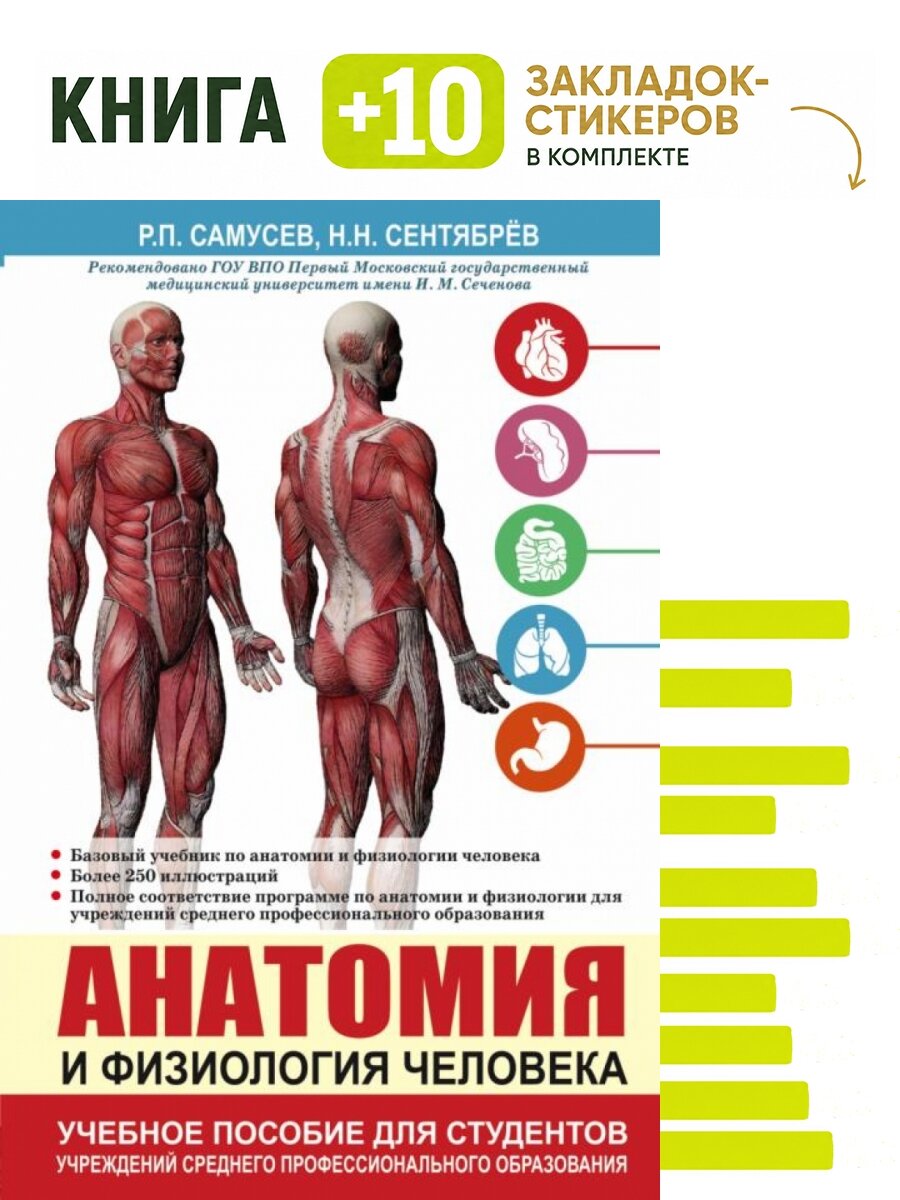 Анатомия и физиология человека. Учебное пособие для студентов учреждений среднего профессионального образования. Комплект: книга + 10 закладок-стикеров