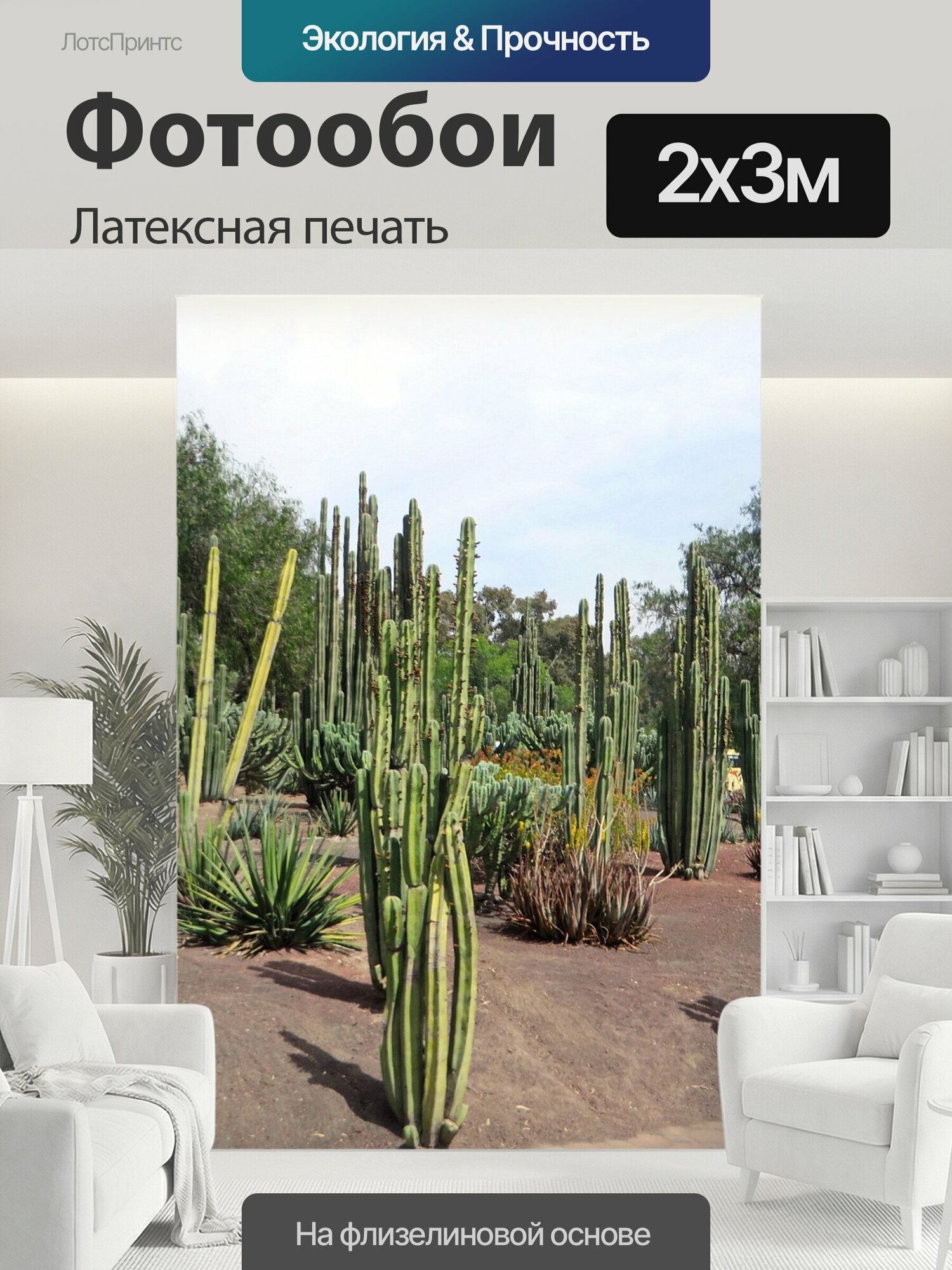 Фотообои моющиеся ударопрочные "Мексика, кактус, сад" 200x300 см. латексная печать