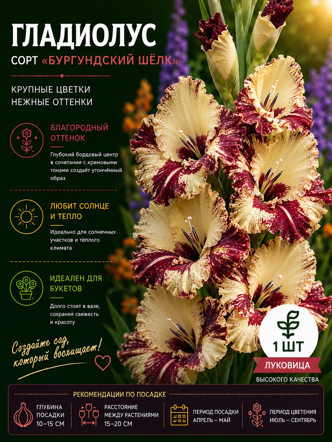 Гладиолусы луковицы многолетние 1 штука