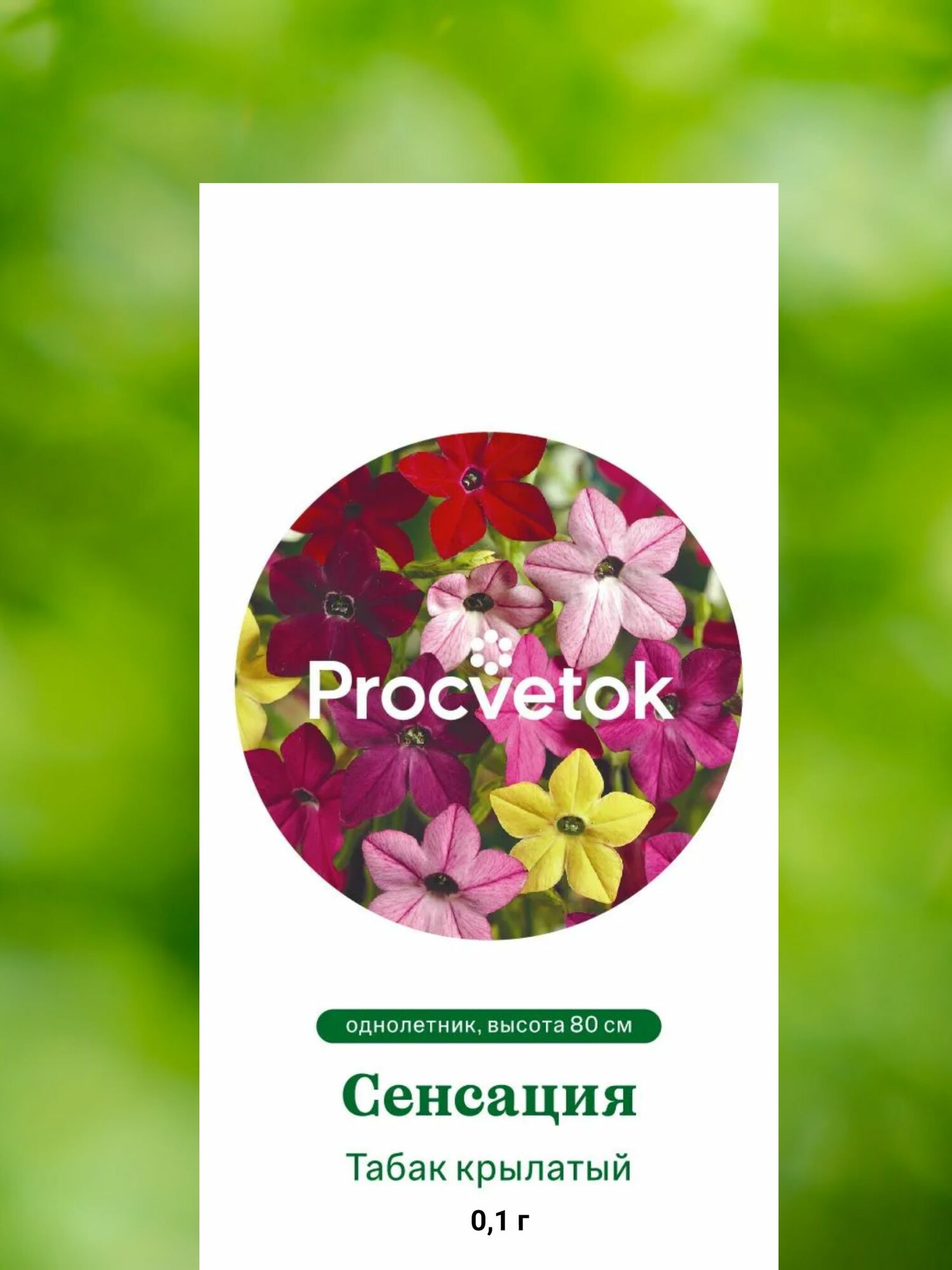 Семена Табака крылатого Сенсация 0,1г процветок