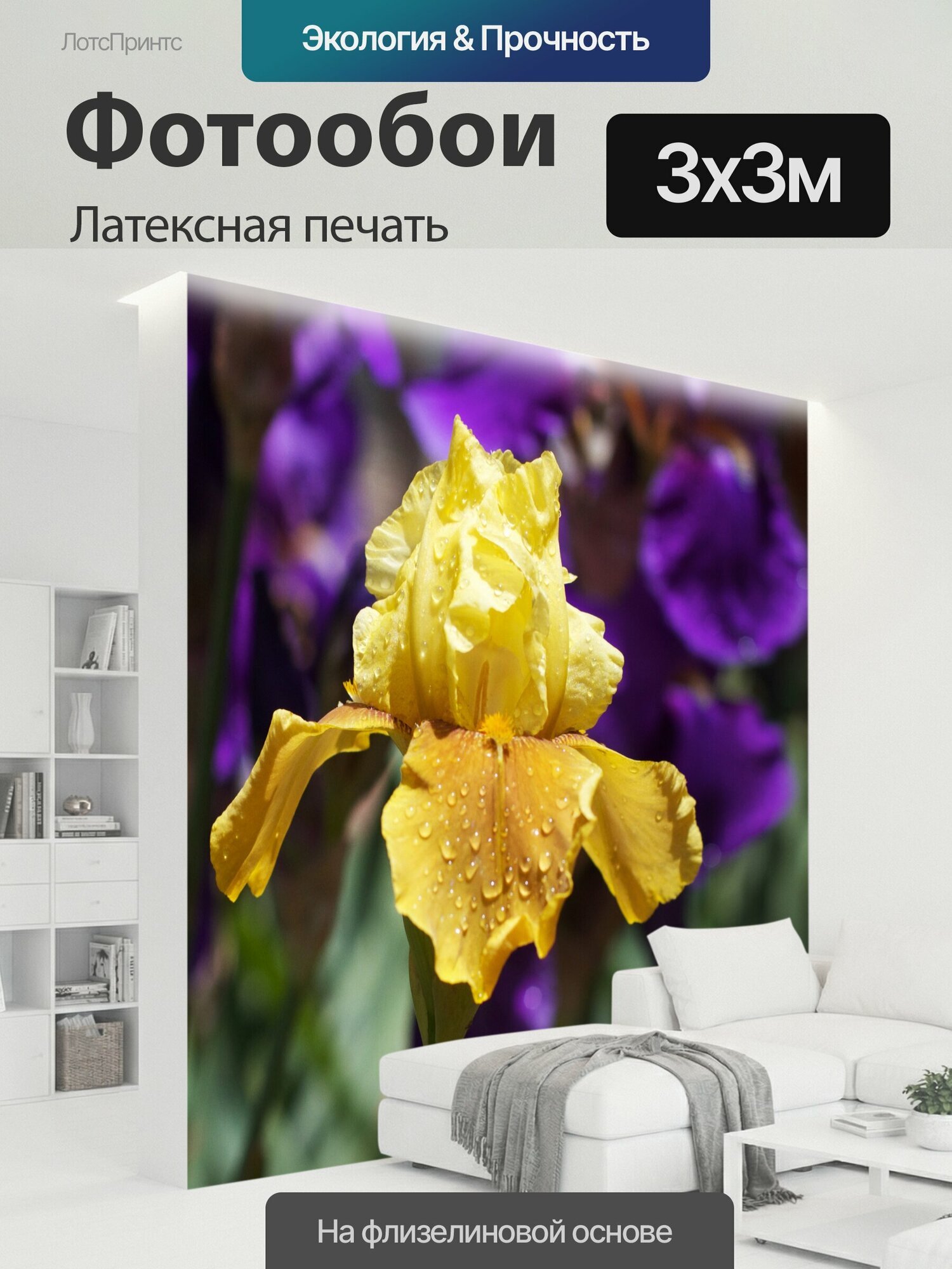 Фотообои моющиеся ударопрочные "Цветок Ирис Желтый Закройте детали красивый цветок желтого ириса цветок Ирис желтый близко подробности лепестки." 300x300 см. латексная печать