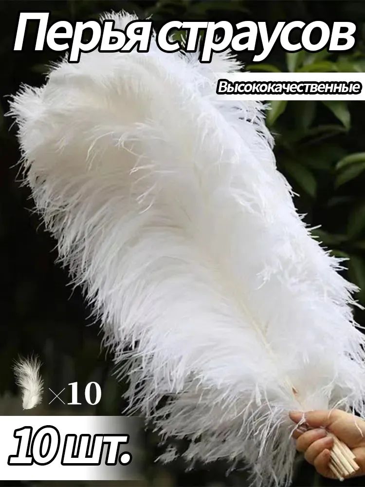 Перо гусиное натуральное чёрное 20 см. 25 шт