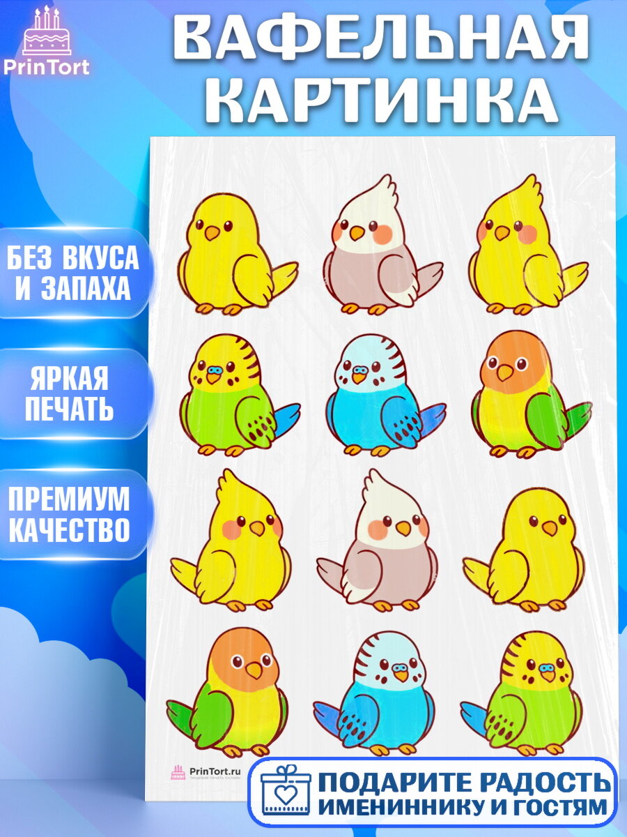 Вафельная картинка для торта Птички. Украшения для торта на День Рождения. Декор для выпечки PrinTort