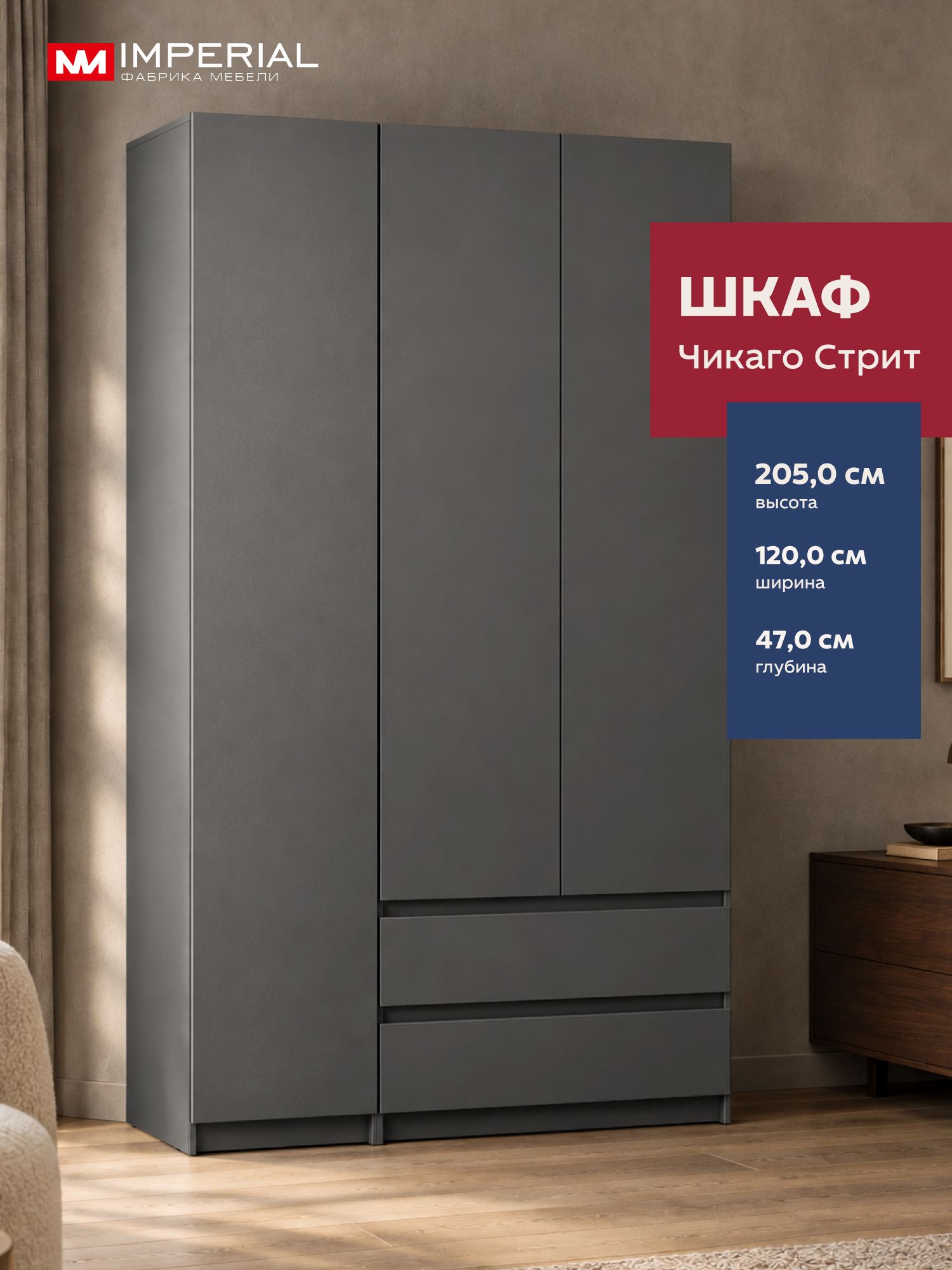 Шкаф для одежды распашной Чикаго Стрит 3д2ящ 120х47х205,5, графит