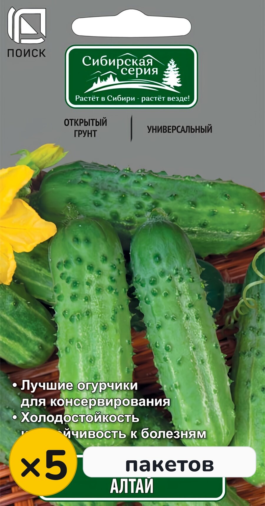 Семена огурца Алтай, 15 шт, 5 пакетов, поиск, посев на рассаду в апреле–мае, для солнечных мест