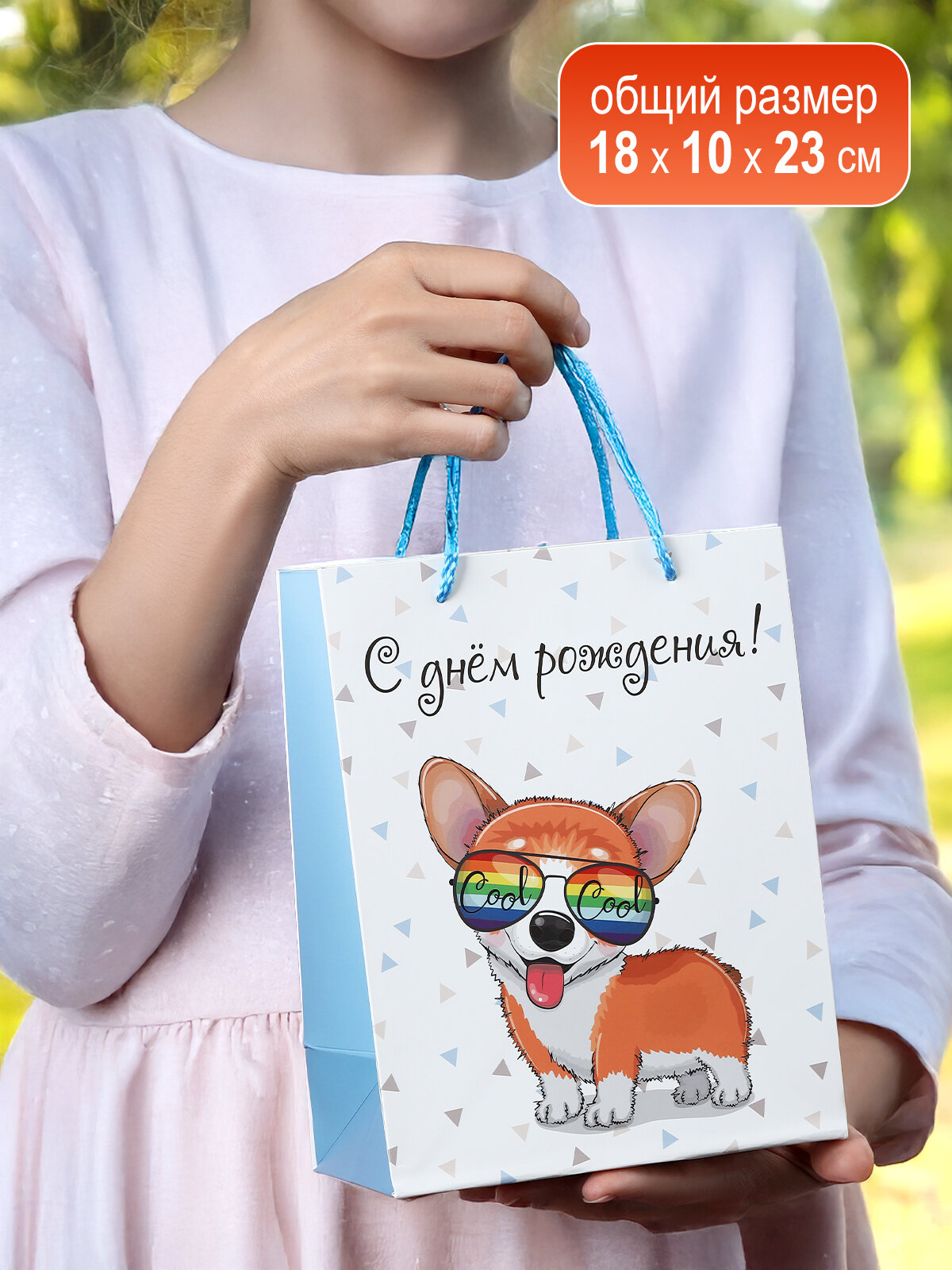 Подарочный пакет С Днем Рождения