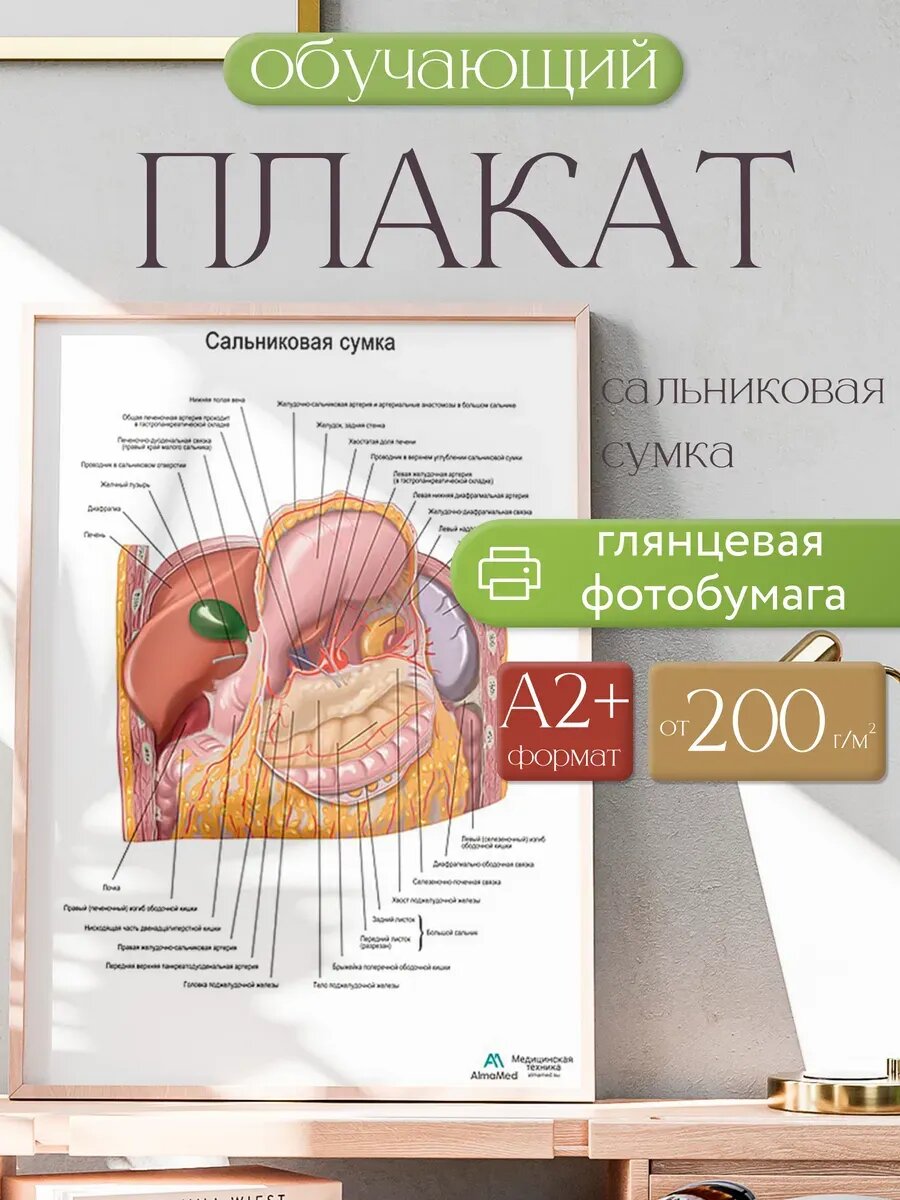 Сальниковая сумка, плакат глянцевый А2+, плотная фотобумага от 200г/м2