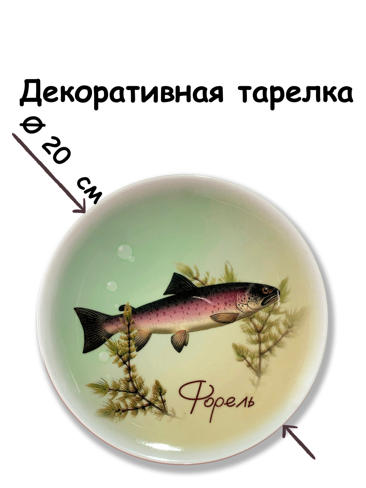Декоративная тарелка с изображением форели исп.3т