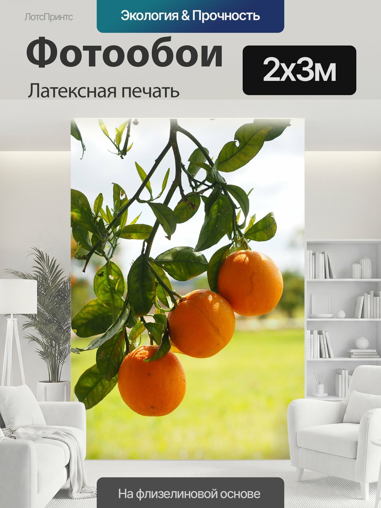 Фотообои моющиеся ударопрочные "Апельсины, фрукты, апельсиновое дерево" 200x300 см. латексная печать