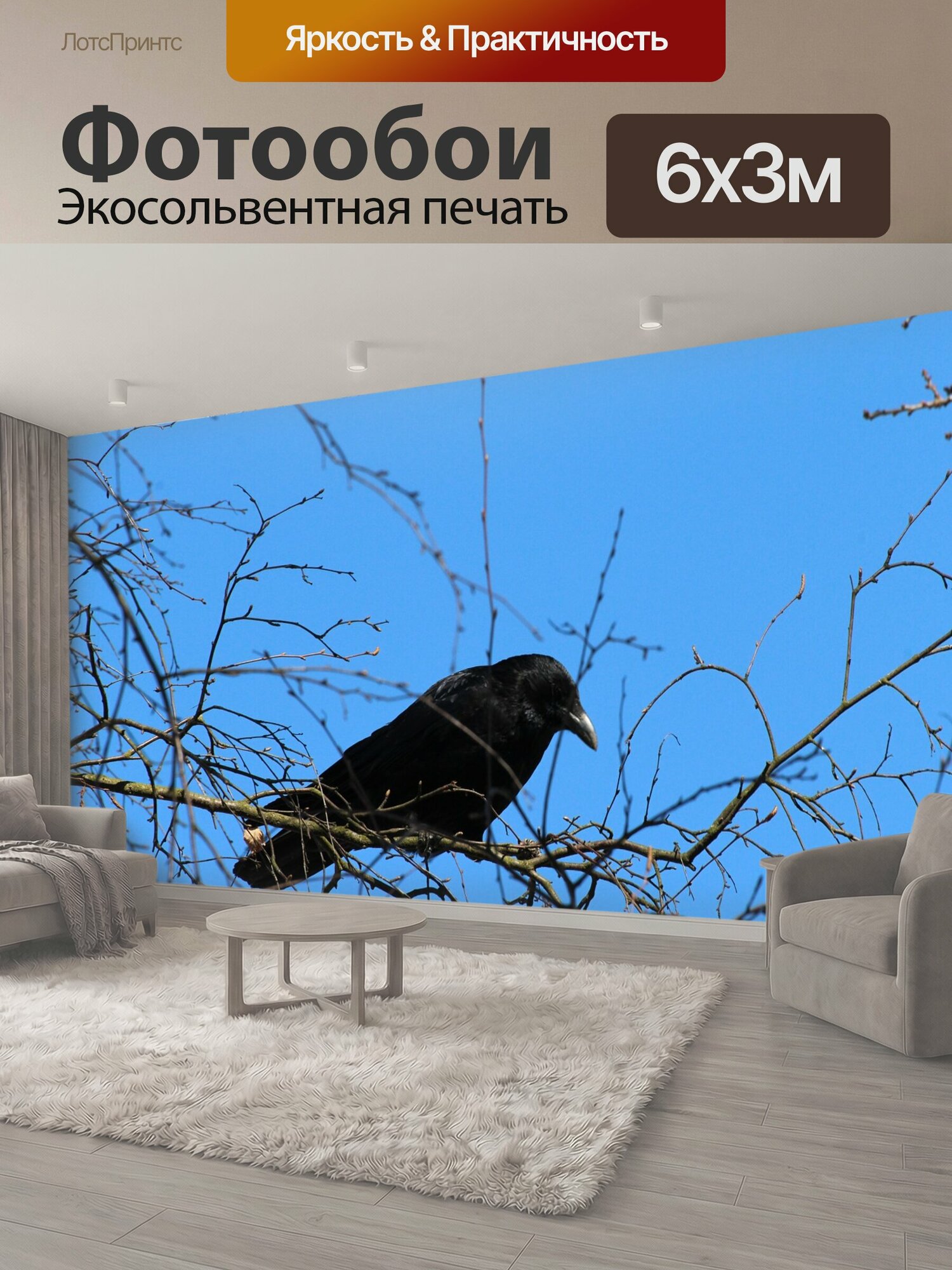 Фотообои "Ворона, corvus frugilegus, ладья" 600x300 см. экосольвентная печать