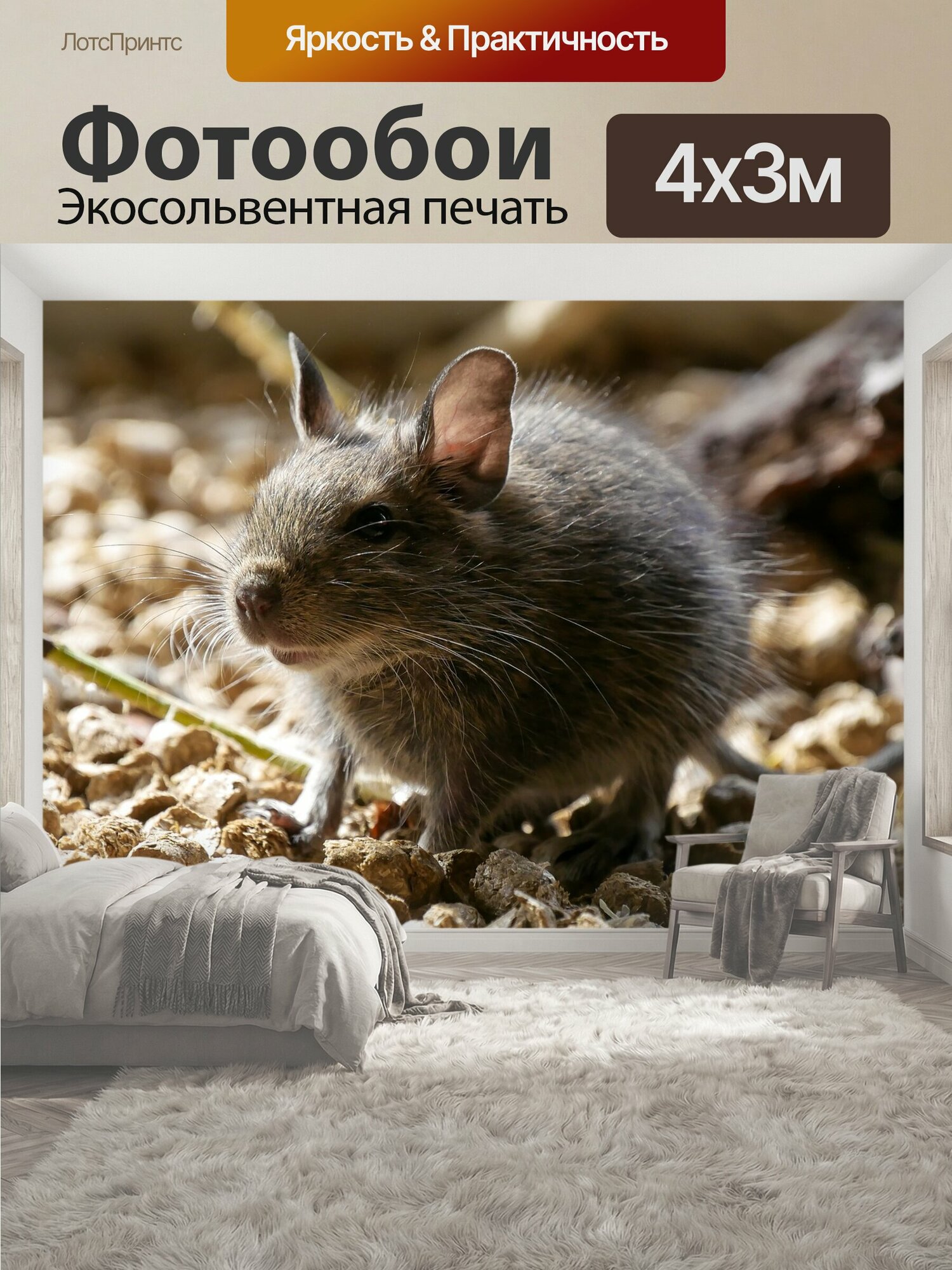Фотообои "Дегу, грызун, носить крысу" 400x300 см. экосольвентная печать