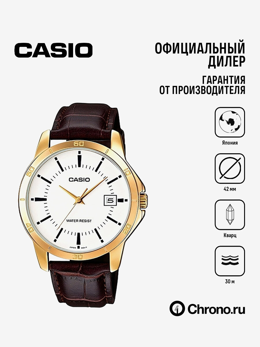  CASIO Collection Men