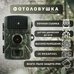 Фотоловушка TELTOS 001 для охоты, природы, дачи, Full HD 1080, 16MP, IP66