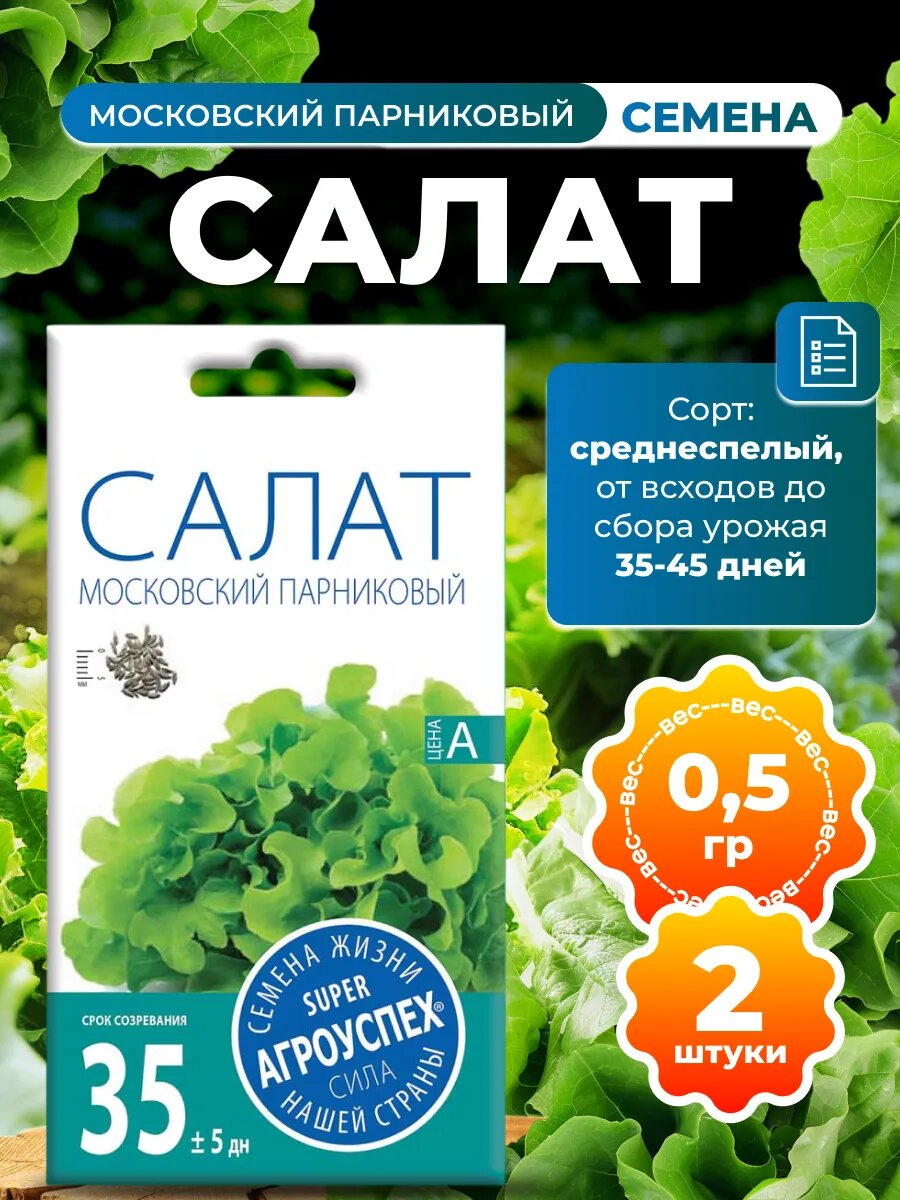 Семена салата Московский парниковый, 2 пачки по 0,5г