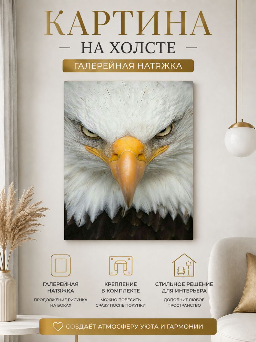 Картина на холсте Орел в полёте 40x60 см