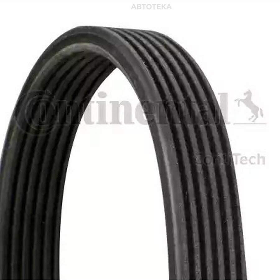 Ремень поликлиновой CONTITECH 6DPK1215 FAW-VW / SEAT / VW