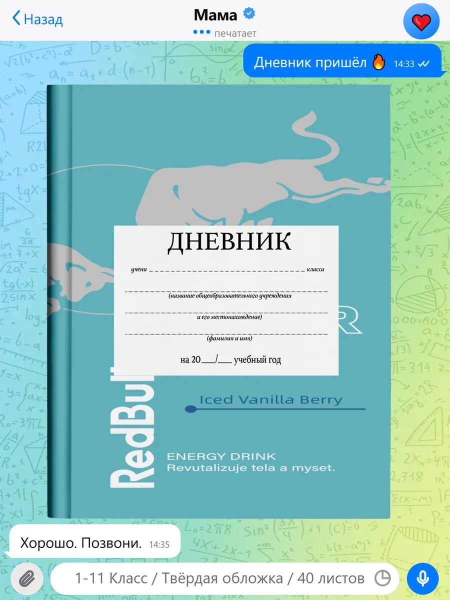 Школьный дневник с принтом Роблокс