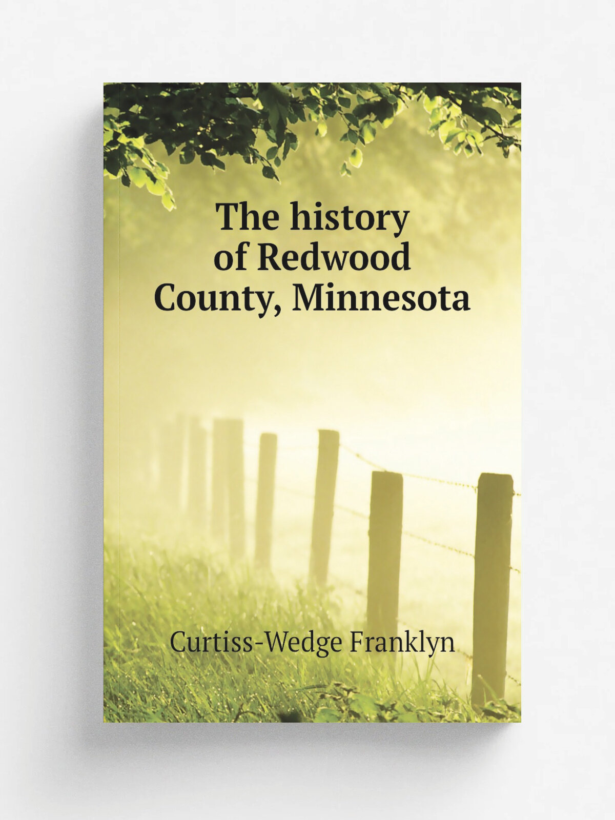 The history of Redwood County, Minnesota | Curtiss-Wedge Franklyn | Репринт