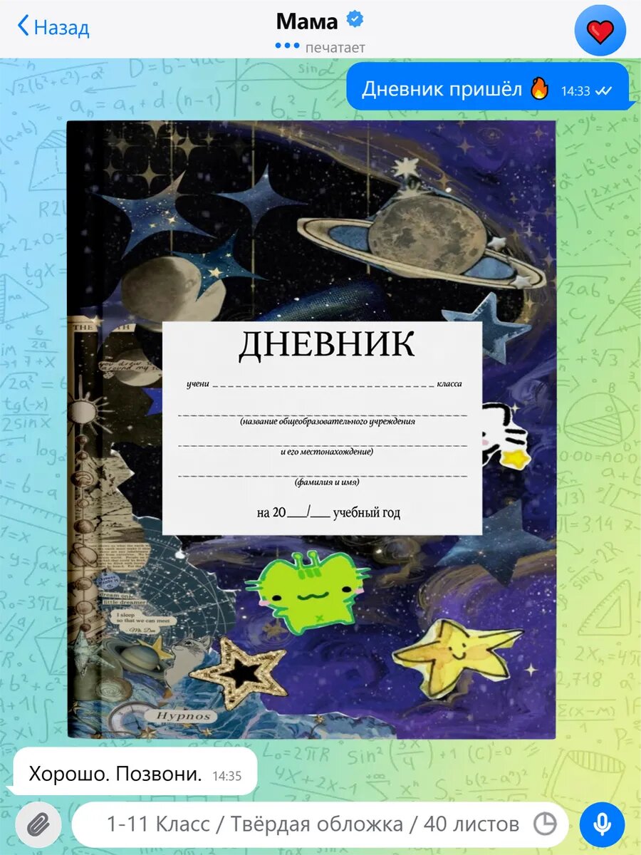Школьный дневник с принтом Роблокс