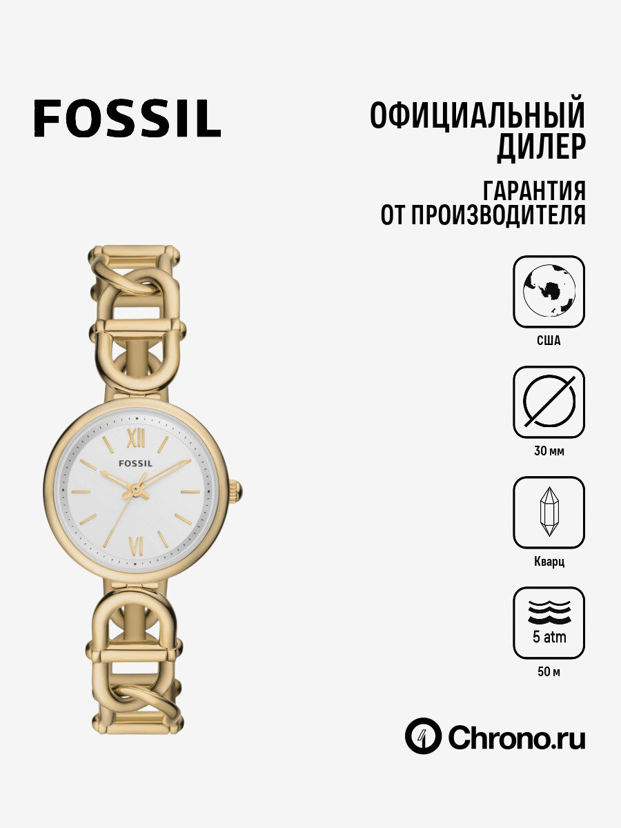  FOSSIL Carlie