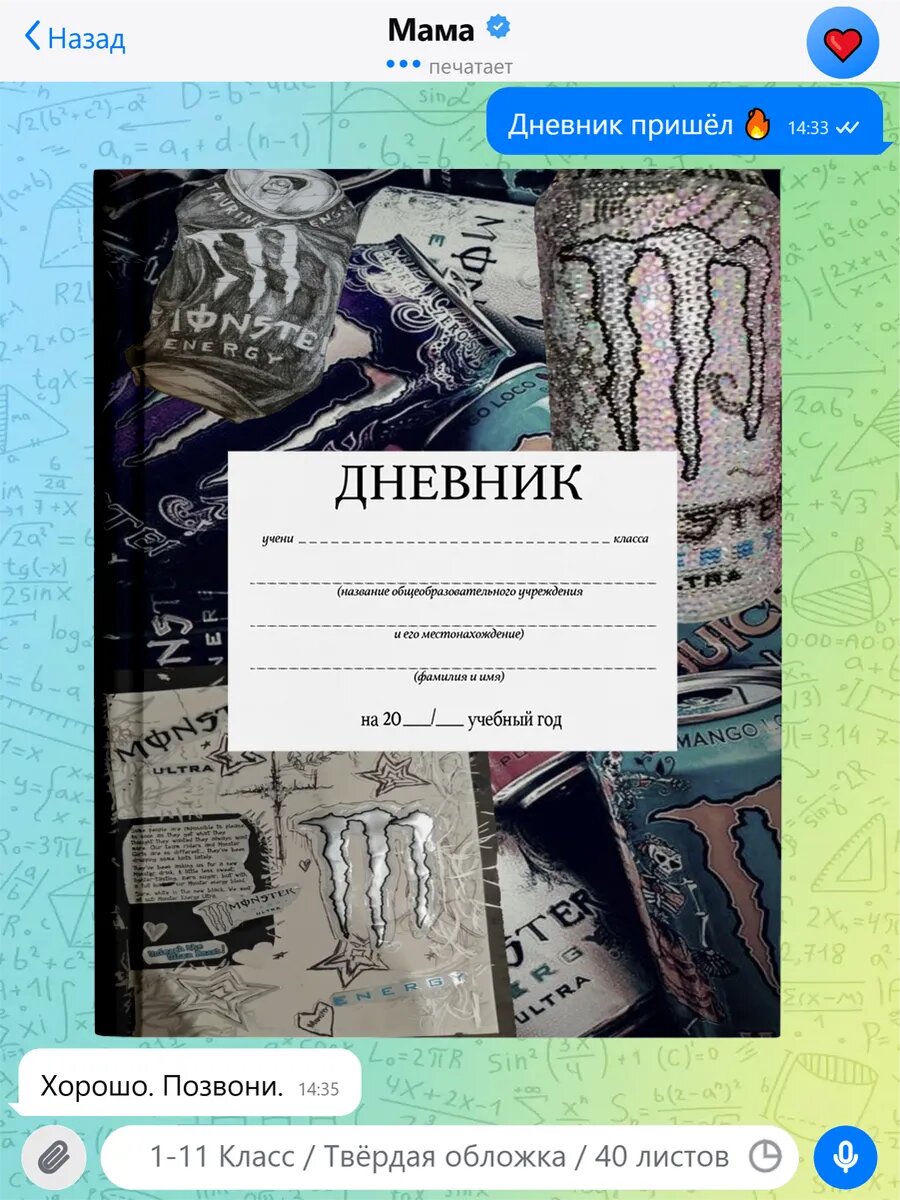 Школьный дневник с принтом Роблокс