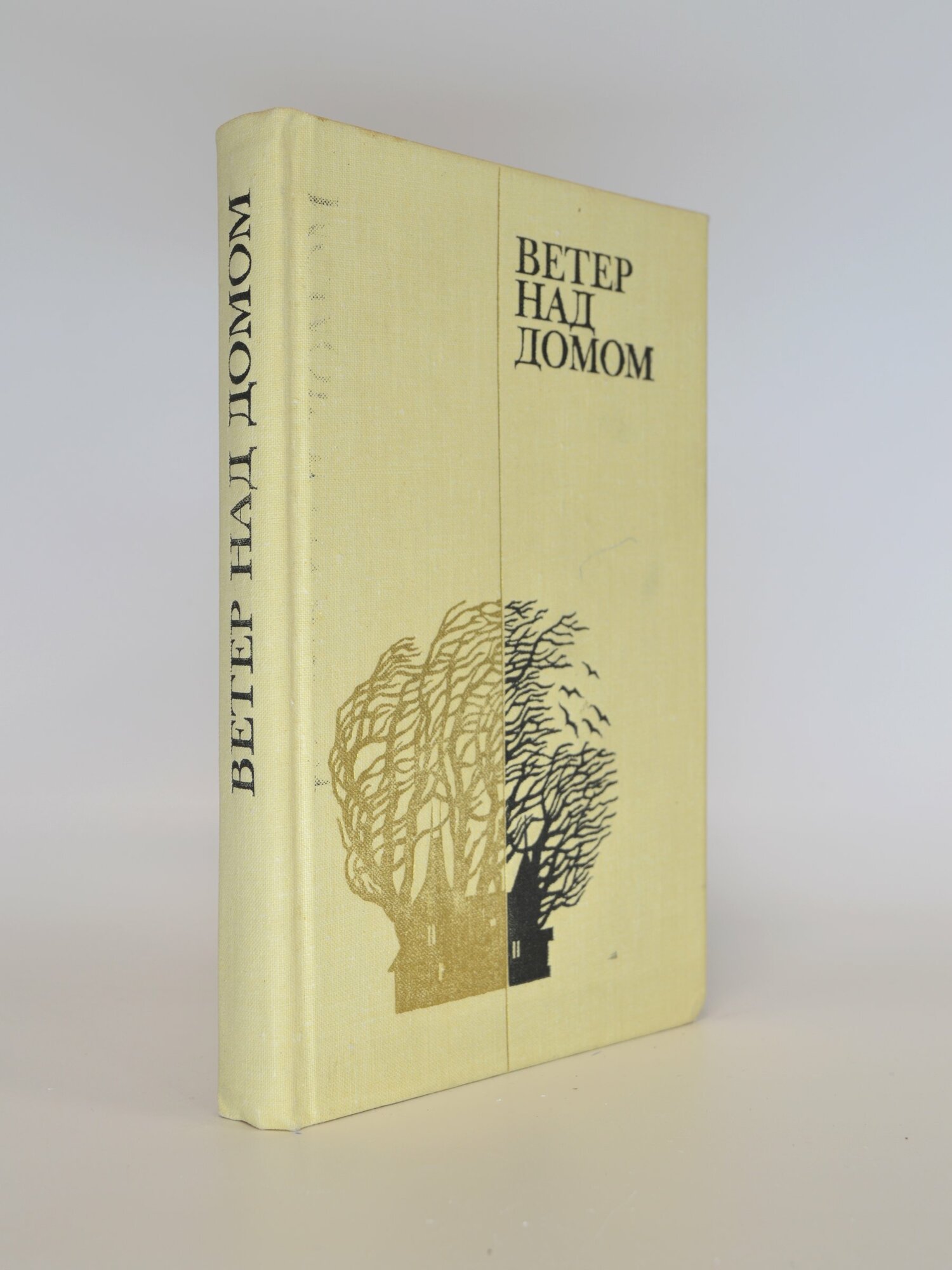 Ветер над домом. Леклезио Жан-Мари Гюстав, Мэй Брайан. Букинистическая книга в отличном состоянии.