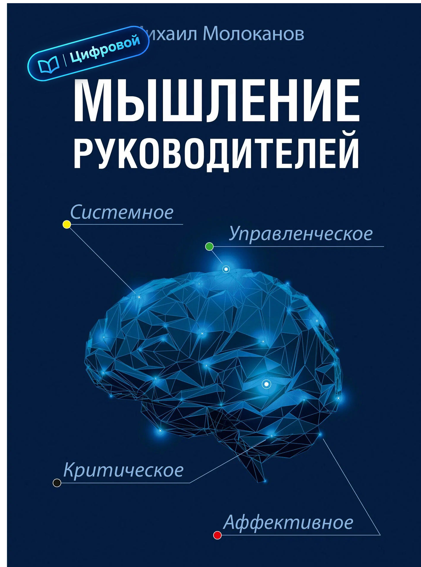 Мышление руководителей: системное, управленческое, критическое, аффективное. Михаил Молоканов. Электронная
