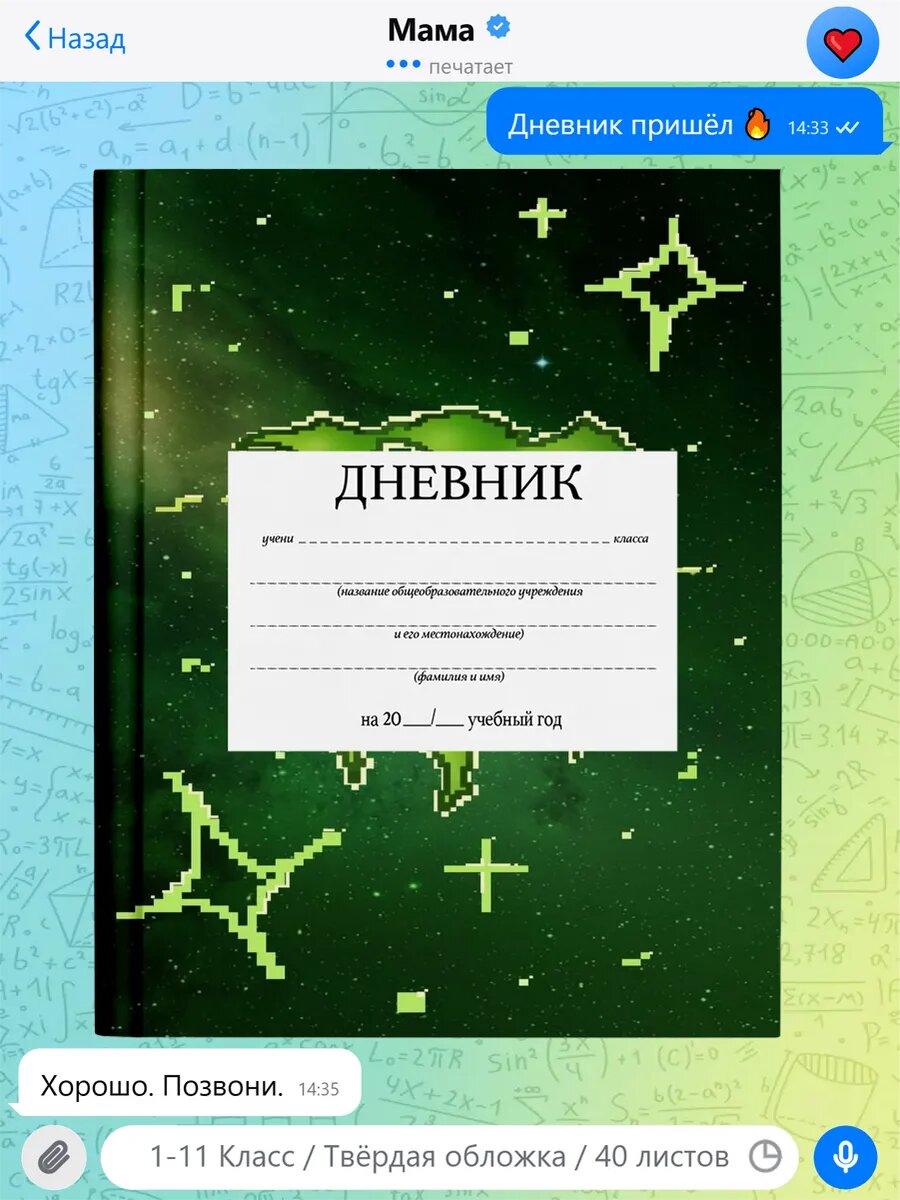Школьный дневник с принтом Роблокс