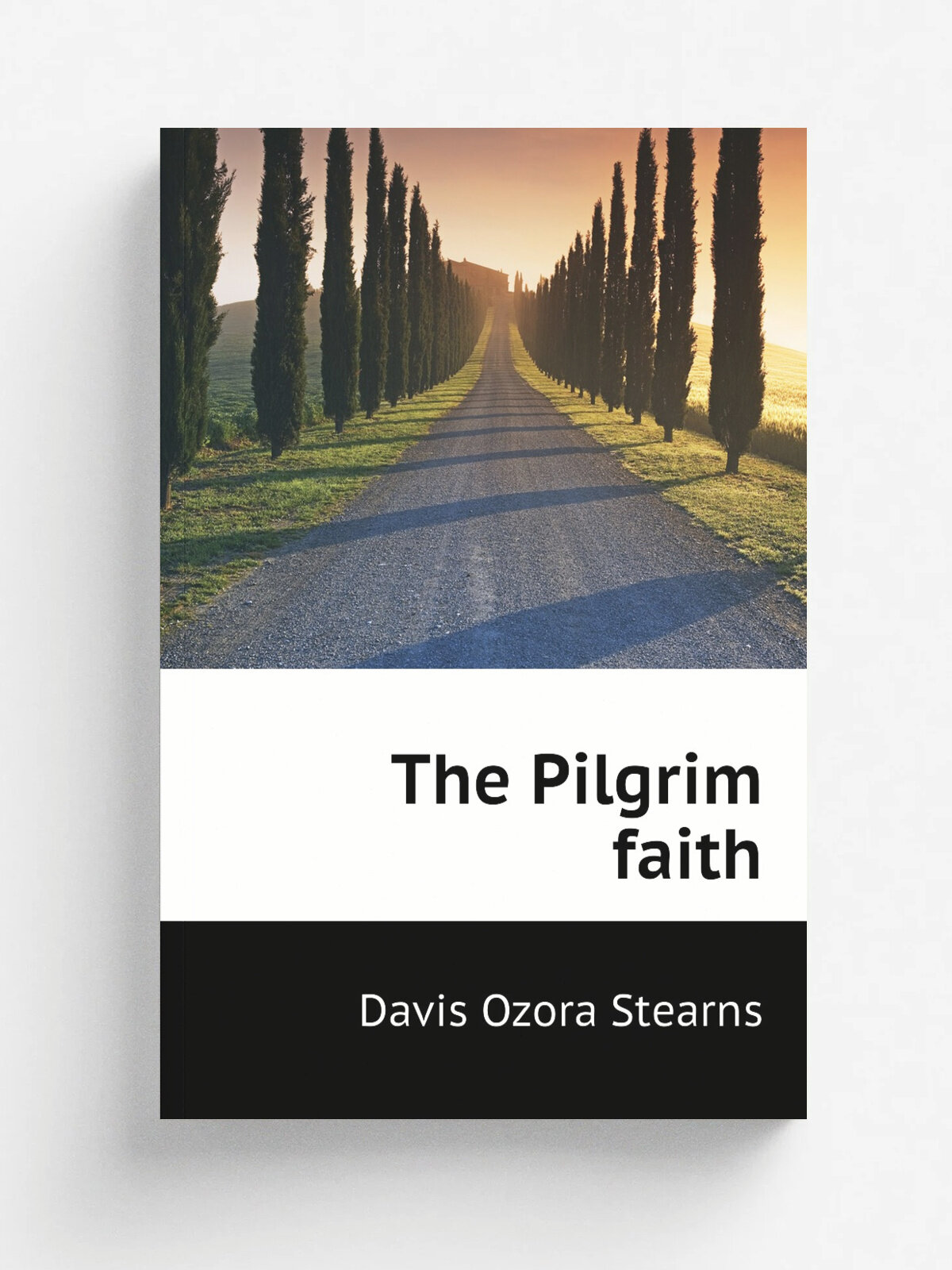The Pilgrim faith | Davis Ozora Stearns | Репринт