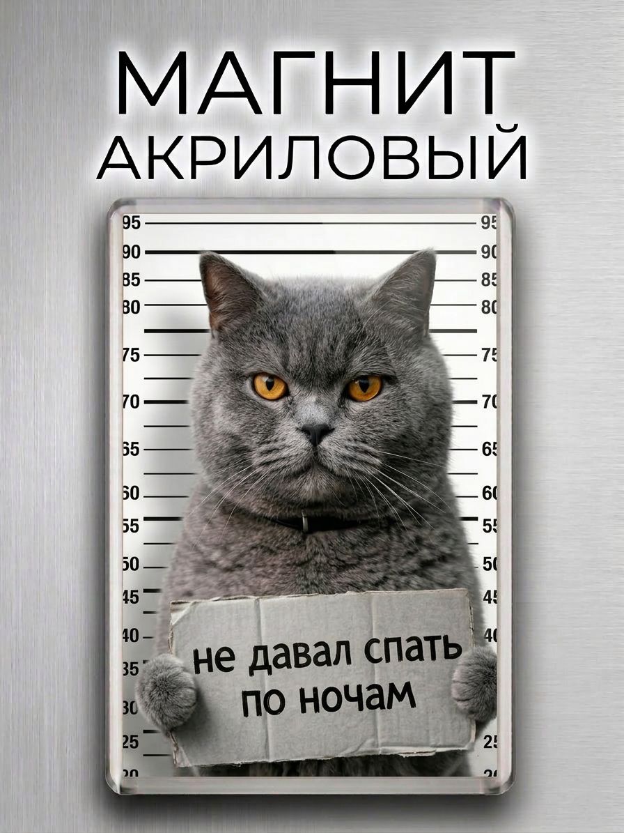 Магнит на холодильник "Кот преступник со смешной надписью Мешал спать", оригинальный подарок кошатнику