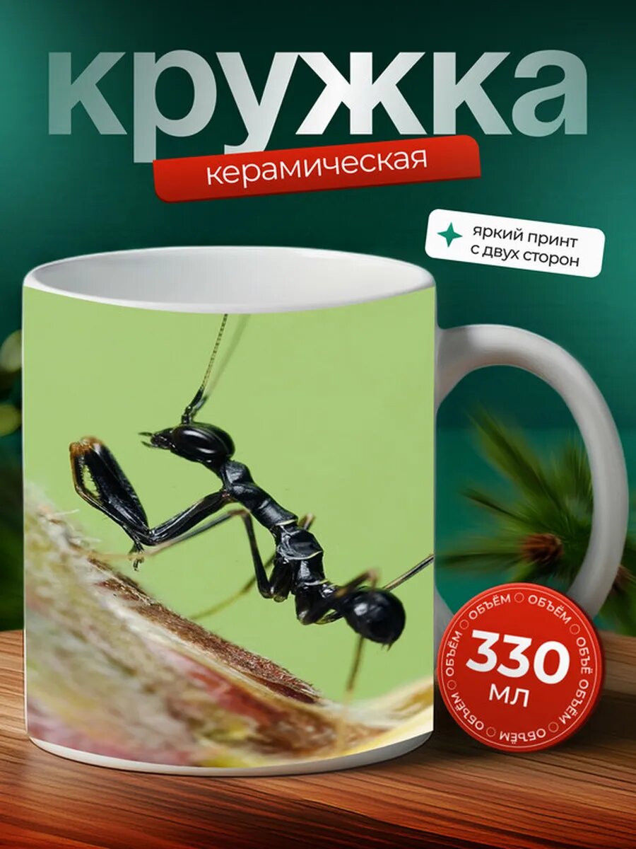 Кружка Ручейник насекомое 11,