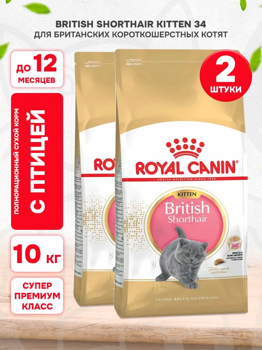 Корм сухой Royal Canin British Shorthair Kitten 34 для британских короткошерстных котят, 10 кг х 2 шт