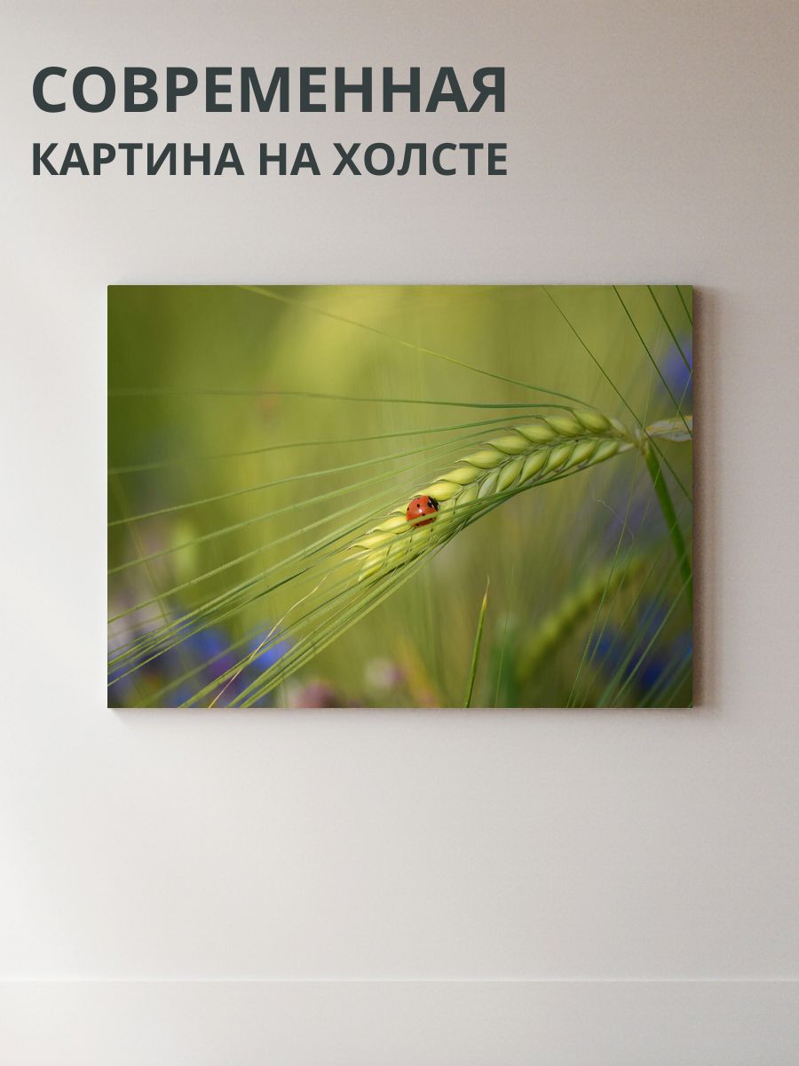 Картина на холсте Божья коровка на колосьях 70x50 см