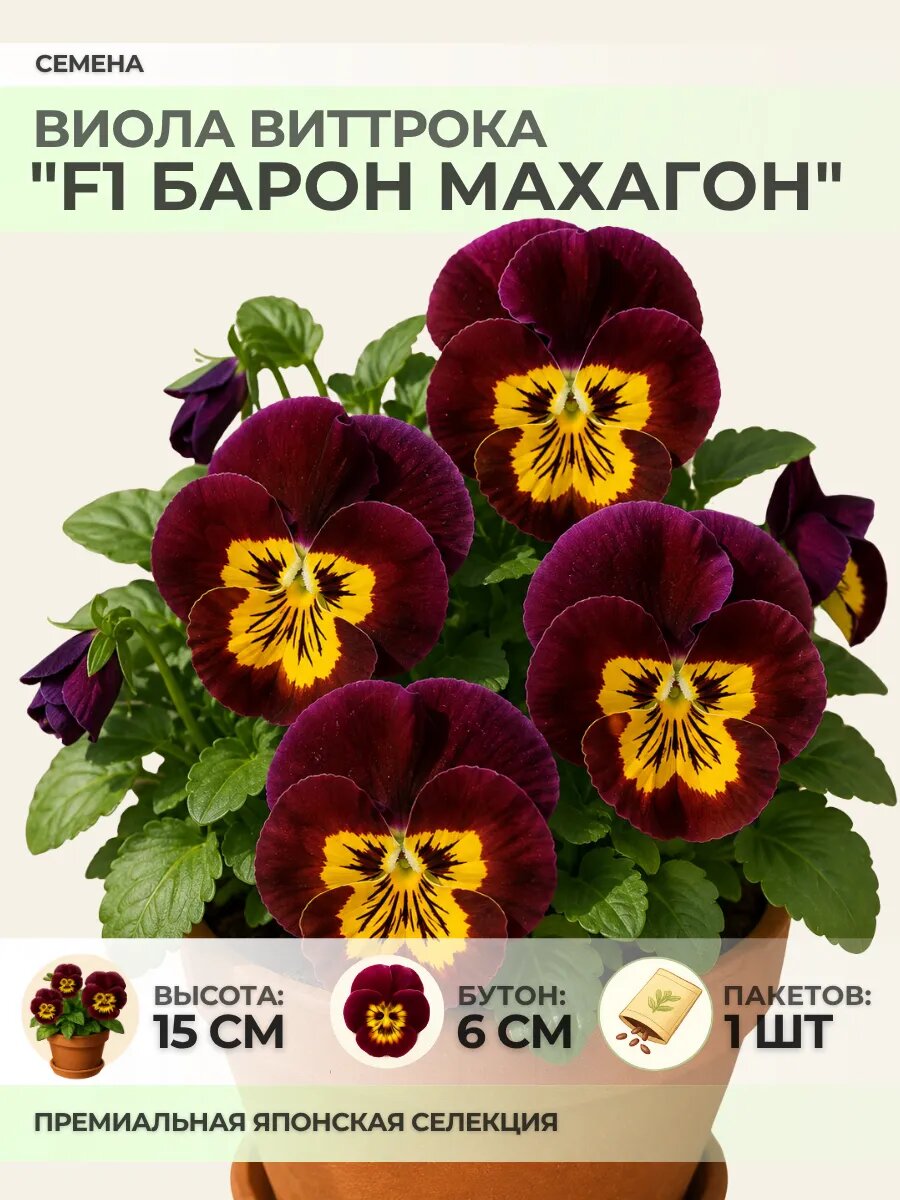 Виола "Барон Махагон" F1, крупные коричнево-красные бархатистые цветки, японский гибрид, 1 упаковка, 5 шт. семян.