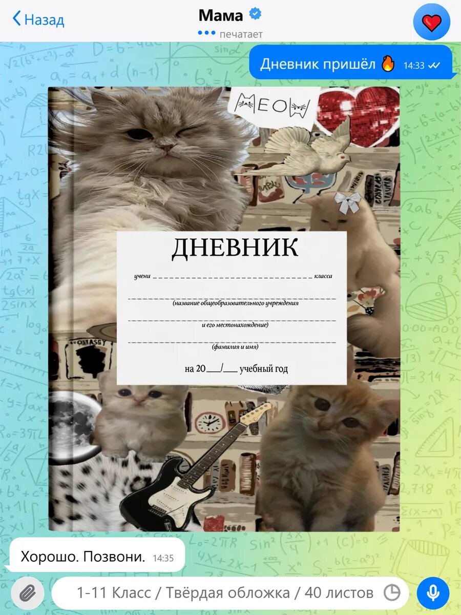 Школьный дневник с принтом Роблокс