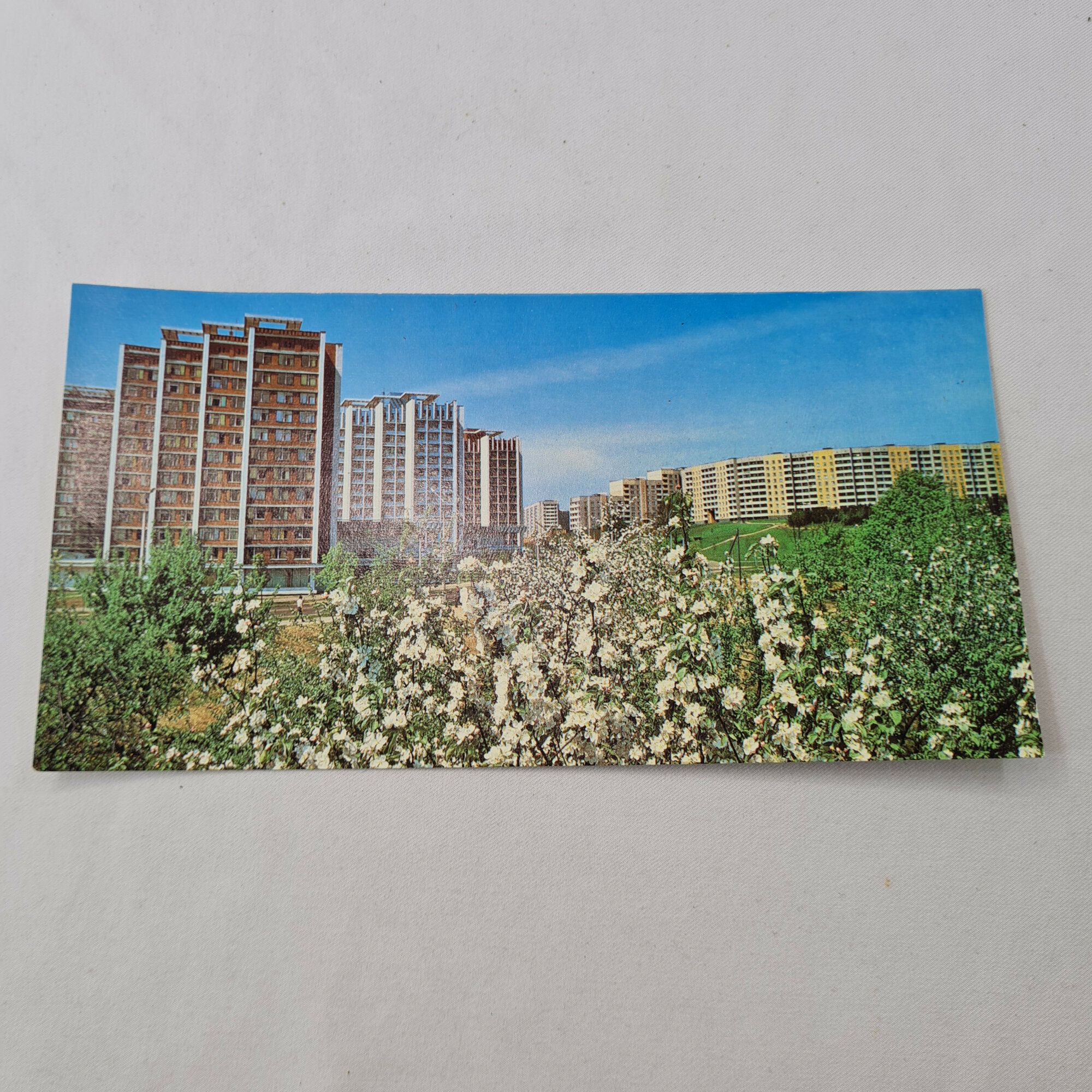 Открытка старинная. Улица Карбышева, жилые дома и цветущие кустарники, городской пейзаж СССР