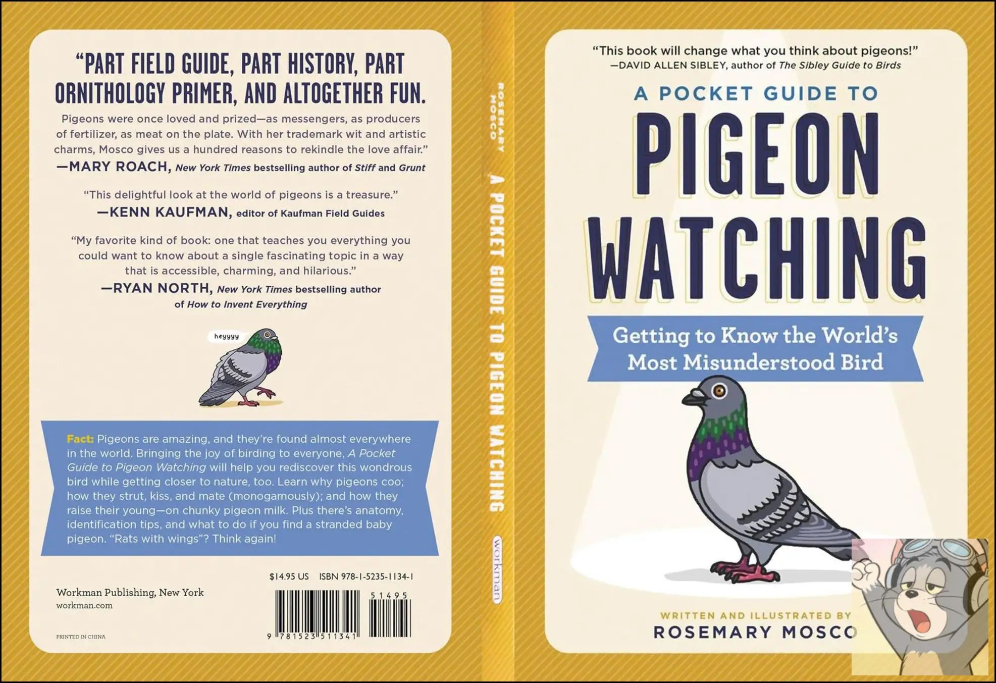 A Pocket Guide to Pigeon Watching: Getting to Know the Worlds Most Misunderstood Bird