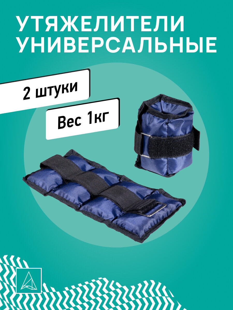 ФСИ Аналитика Утяжелители 2шт , 1 кг