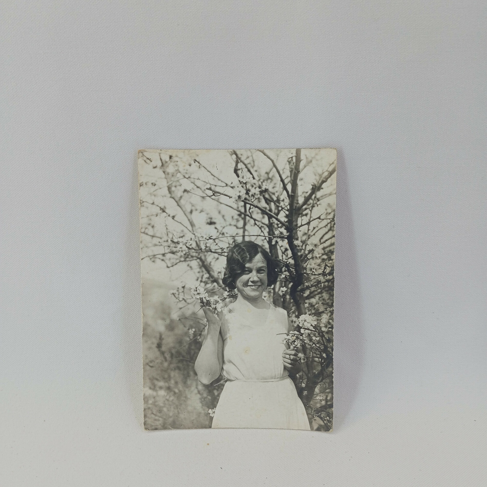 Фотография винтажная, СССР. Портрет женщины с цветущей веткой, черно белая открытка