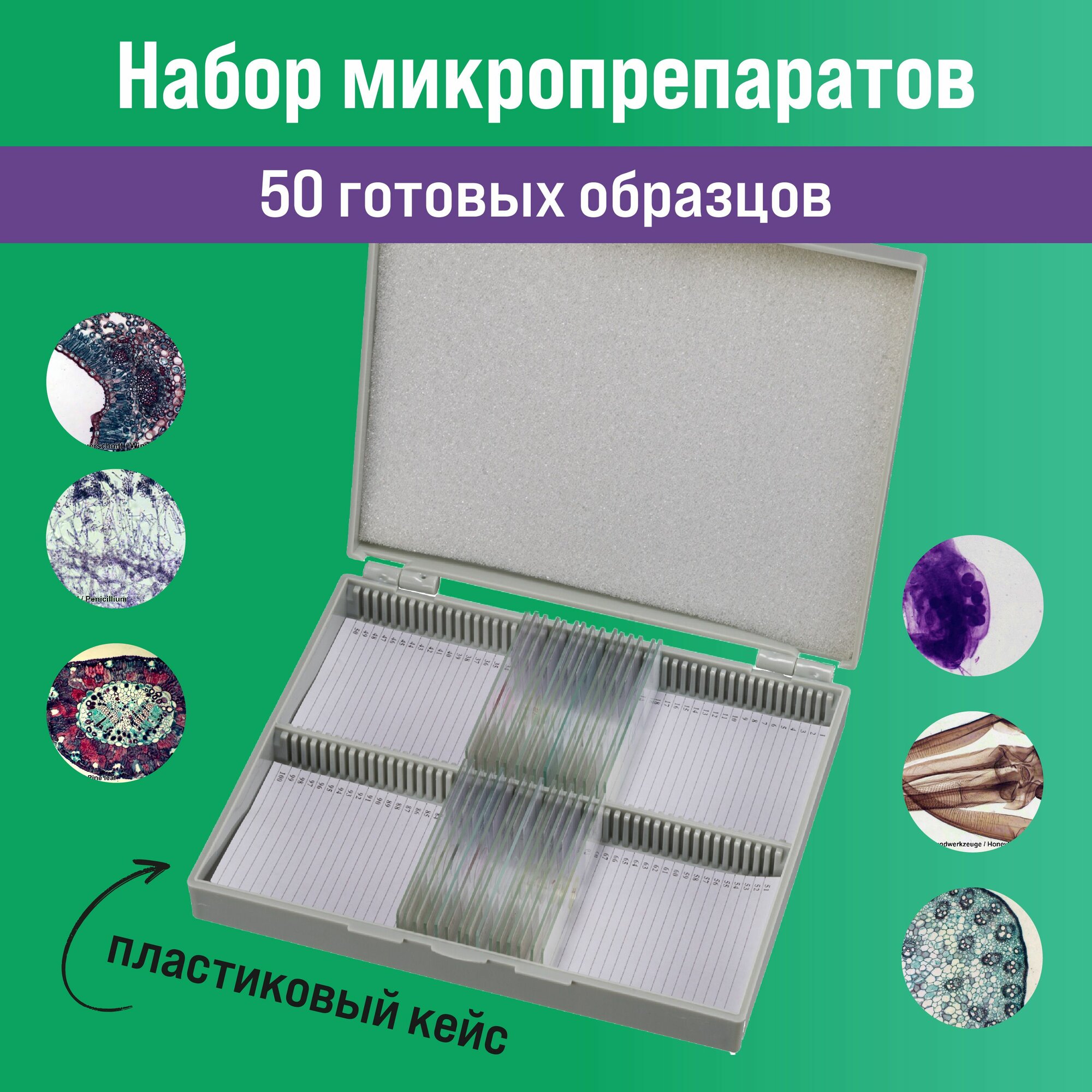 Набор микропрепаратов Bresser 50 штук, в кейсе