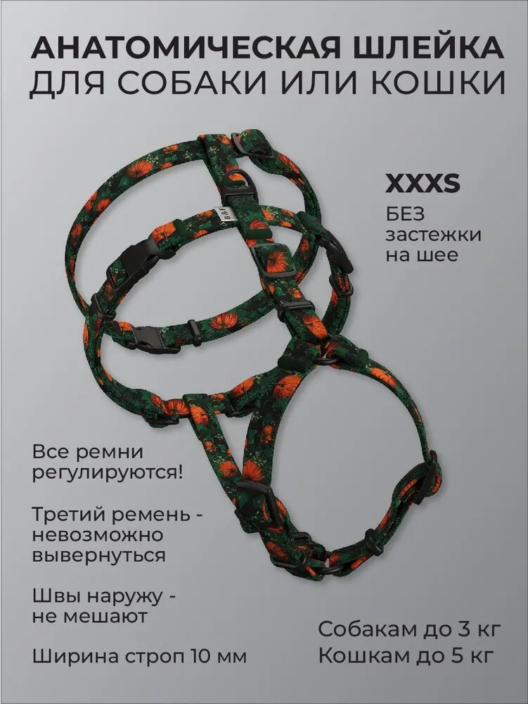 Анатомическая прогулочная шлейка для кошки или собаки "Тыквы" XXXS Гудини